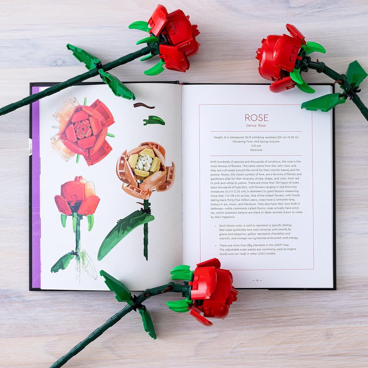 New book: Botanical Almanac | Brickset