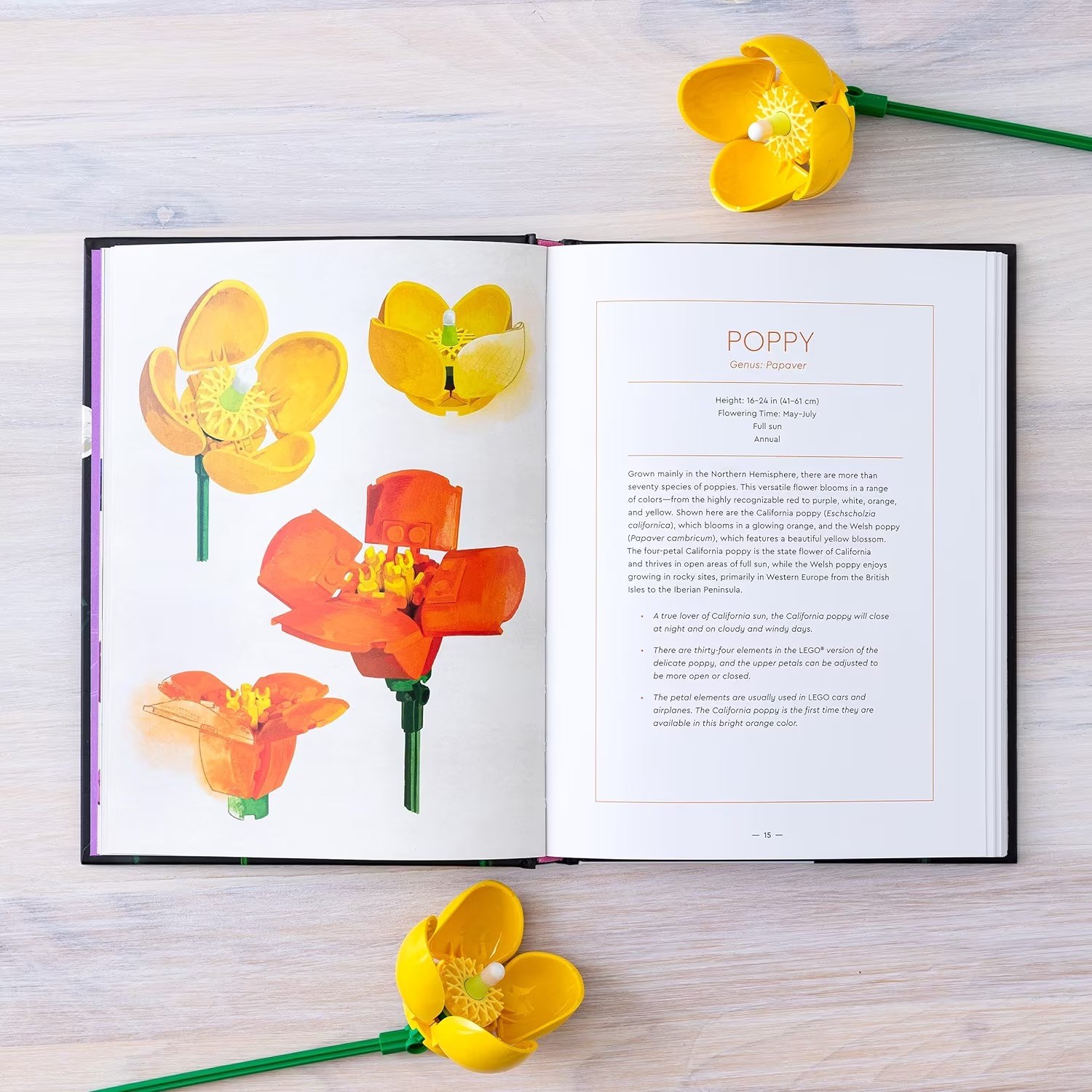 New book: Botanical Almanac | Brickset