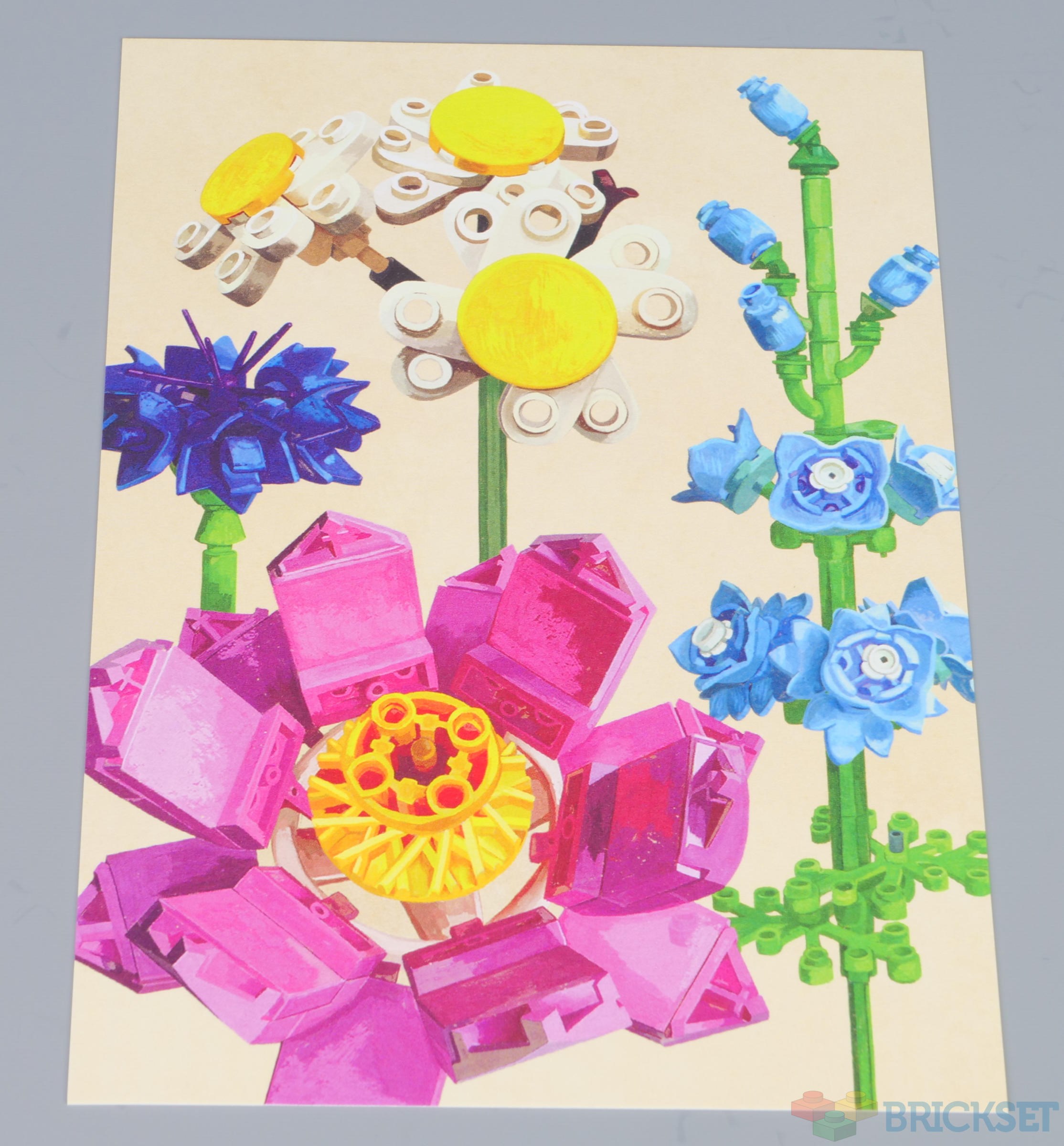 New book: Botanical Almanac | Brickset