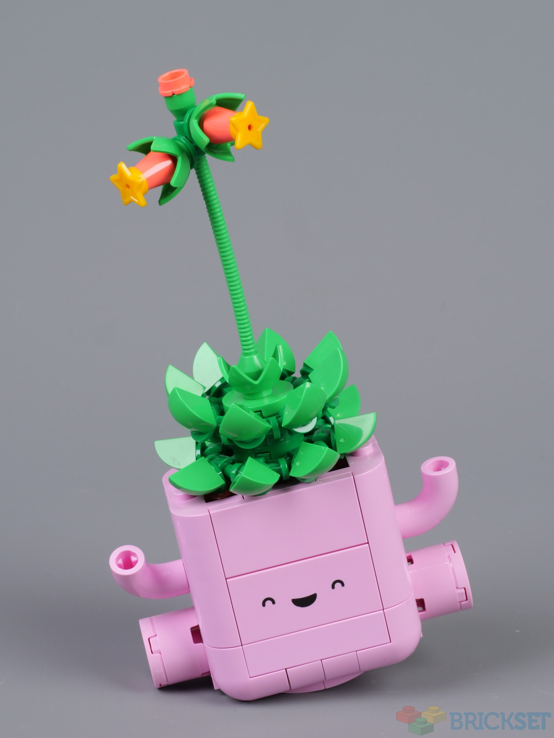 LEGO Botanicals 11506 Rocking Plants review | Brickset