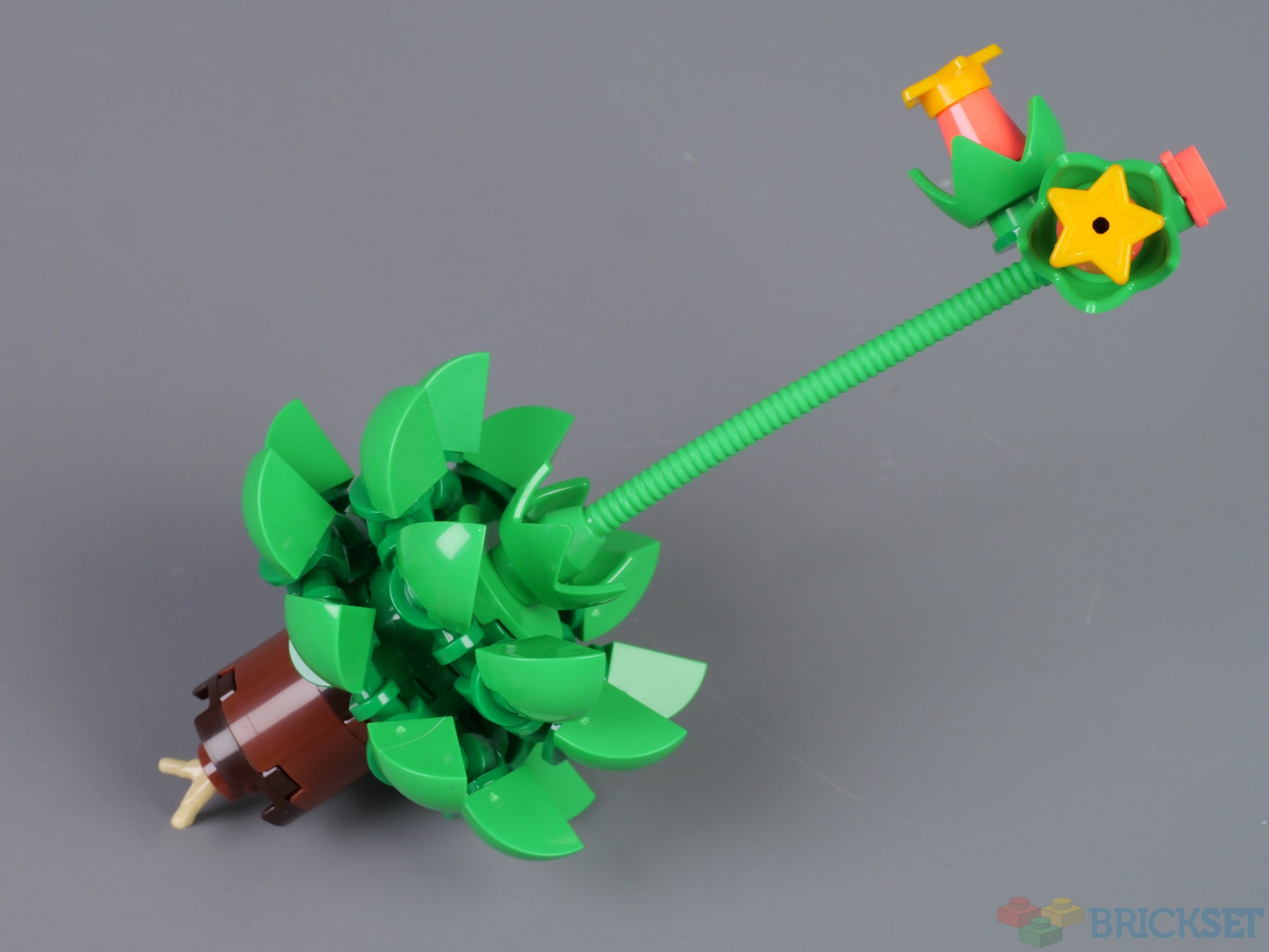 LEGO Botanicals 11506 Rocking Plants review | Brickset