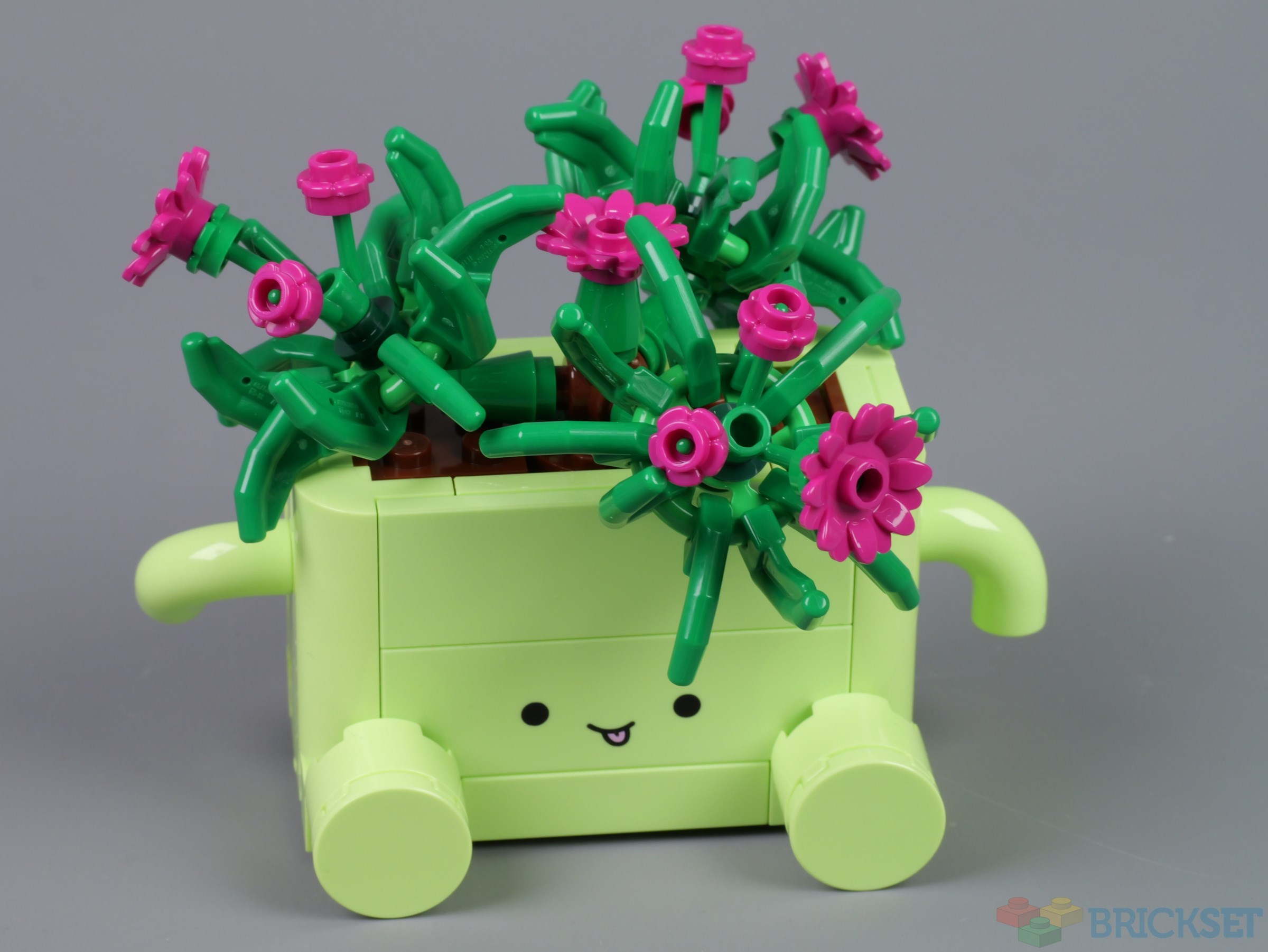 LEGO Botanicals 11506 Rocking Plants review | Brickset