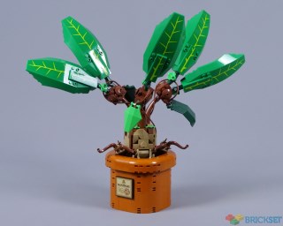 LEGO Harry Potter 76433 Mandrake review | Brickset